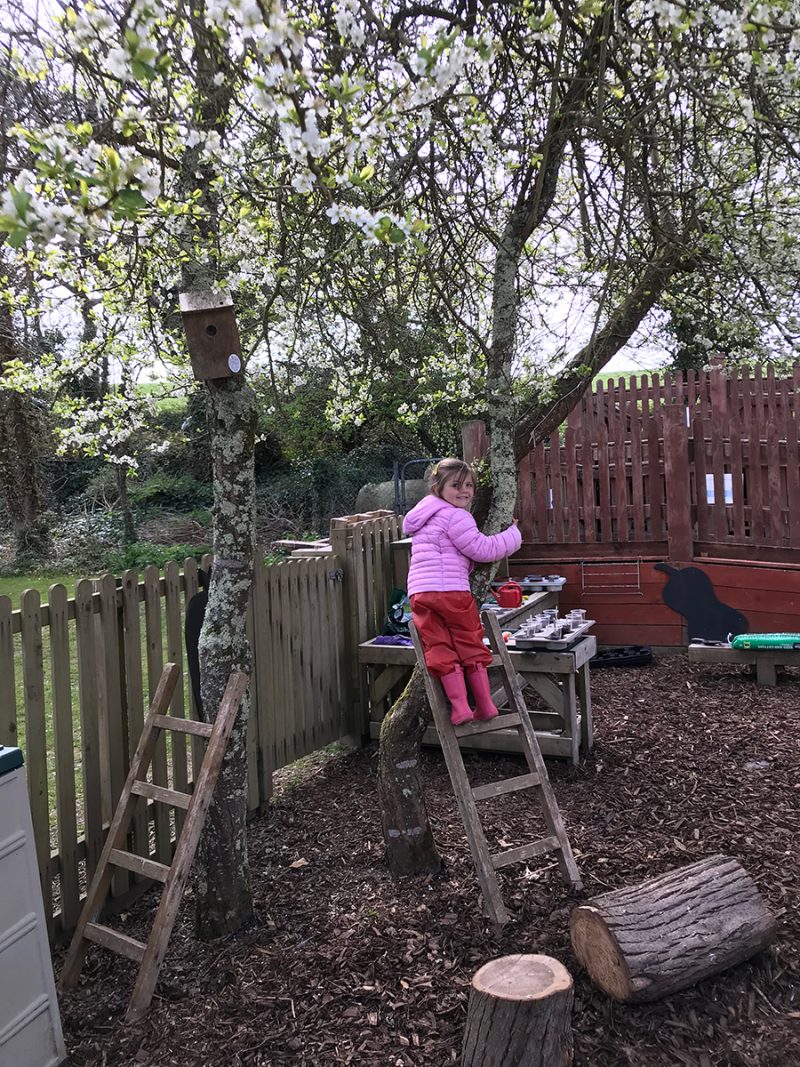 Outdoor Learning Gallery - Kea Preschool